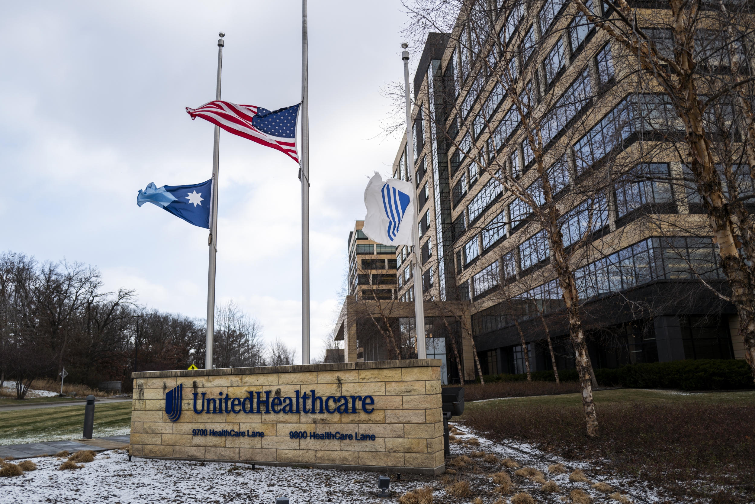 Slain CEO Brian Thompson's Successor is One of UnitedHealth's Top ...